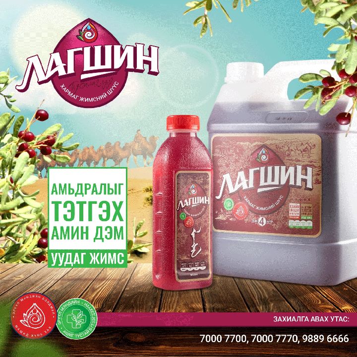 Жижиг Дунд Үйлдвэрийн газар